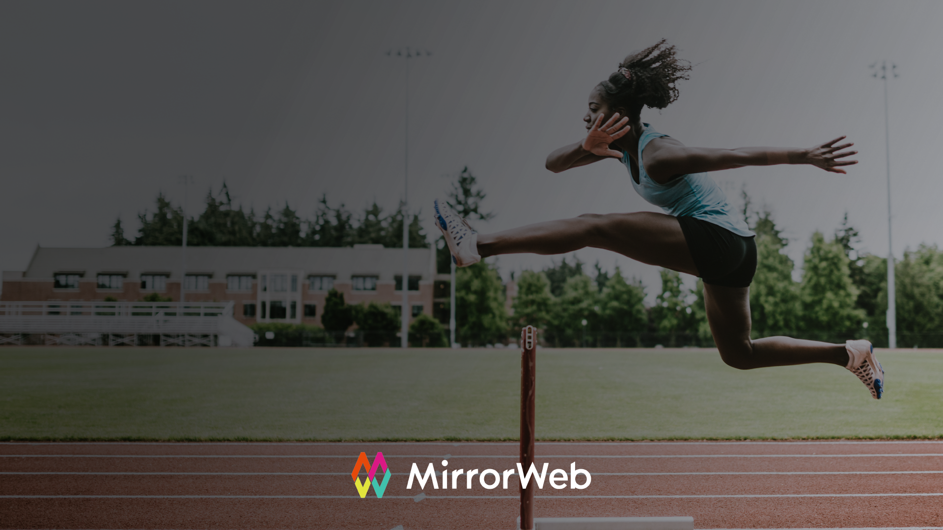 Explore The MirrorWeb Insight Techstack | MirrorWeb